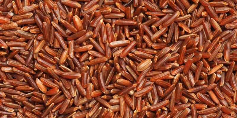 10 beneficios de la vitamina B1 (tiamina) para la salud